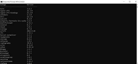 bindsnet is not recognized as an internal or external command