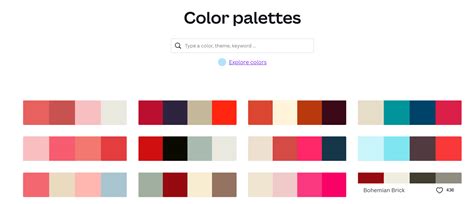Color Color Palettes