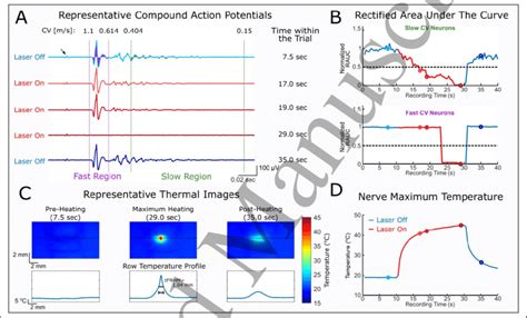 A Electrical Stimulation Of Compound Action Potentials Caps Begins Download Scientific