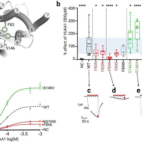 Electrophysiological Characterization Of Orco Mutants In The Binding