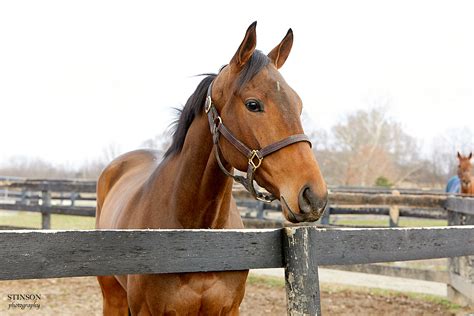 Cags Second Stride Inc