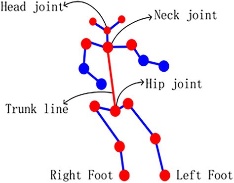 extracted joints and limbs of a human skeleton are provided by openpose