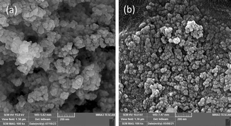 FE-SEM images of (a) Fe3O4@SiO2@Pr-NH2 and (b) Fe3O4@SiO2@Pr-NH2@DAP... | Download Scientific ...