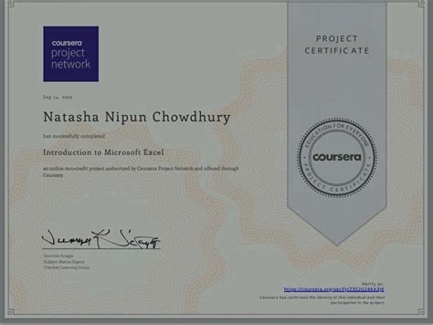 Natasha Chowdhury On Linkedin Excel Project Coursera