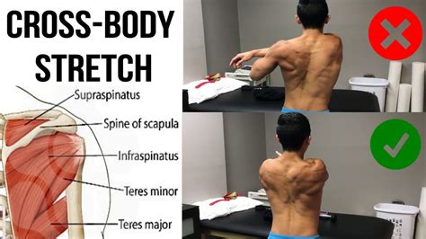 Posterior Deltoid Stretch