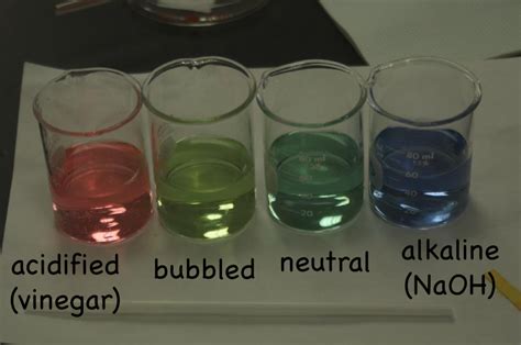 Universal Indicator Red at Christopher Shirley blog