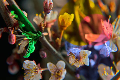 British Artist Adam Chodzko On How Dreams And Art Shape Our World