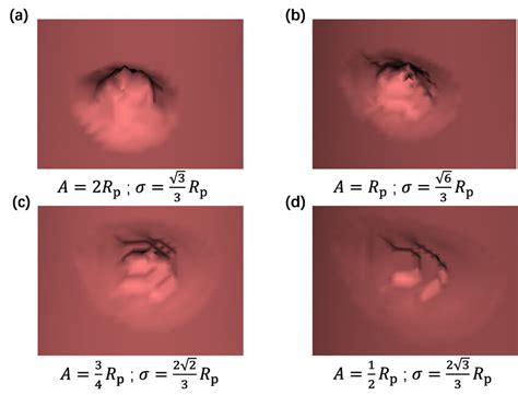 The Expansion Of Primary Thrombus Surface Of Single Platelet Is Merging Download Scientific