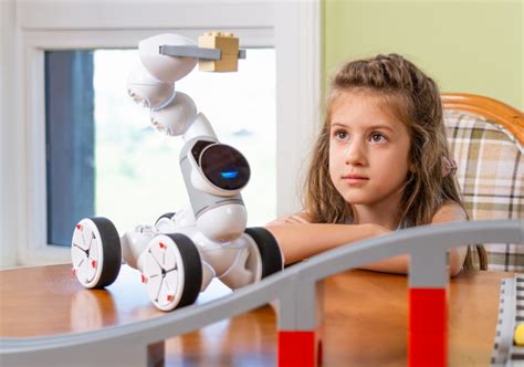 이슈 인공지능으로 무장한 개인용 서비스 로봇 오는 2030년 글로벌 시장 56조원으로 성장한다