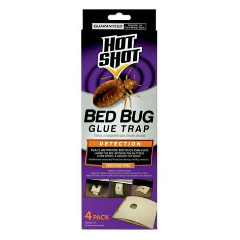 Hot Shot Bed Bug Glue Trap 4 Count Walmart Business Supplies