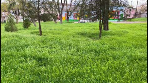 Крым Джанкой что новенького Youtube