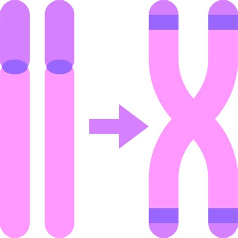 Chromosome Basic Sheer Flat Icon