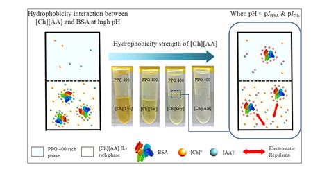 A Concept Of Supported Amino Acid Ionic Liquids And Their 52 Off