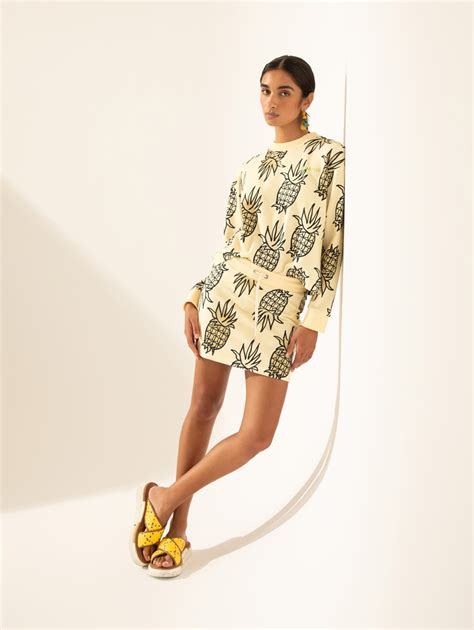 Mini Ananas Maison B