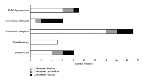Resistance Patterns Of Isolated Gram Negative Eskape Pathogens