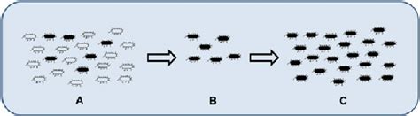 Selective Pressure After A Treatment With Dosage Time Or Inadequate
