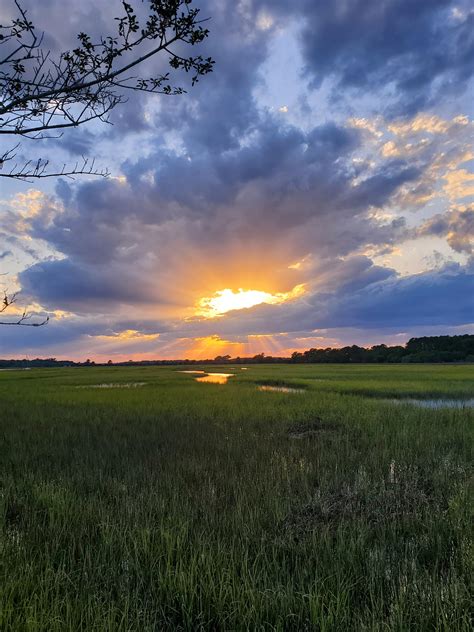 The Newly Opened Stono River County Park Rcharleston
