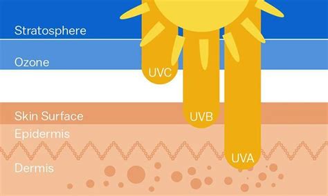 The Health Benefits Of Uvb Lamps Wakelife Beauty
