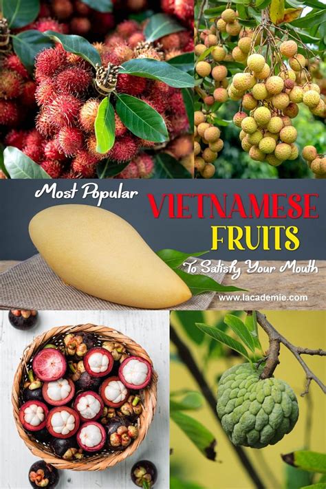 Vietnamese Citrus Fruit List