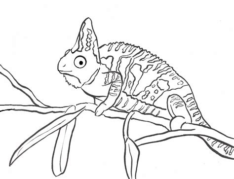 Coloring Chameleon Pages Colouring Printable Color Blank Nature Lizard