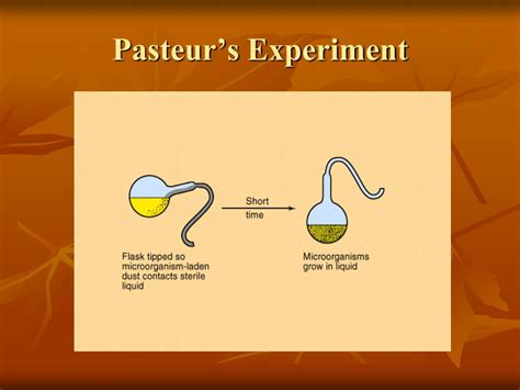 Ppt Emergence Of The Cell Theory Powerpoint Presentation Free