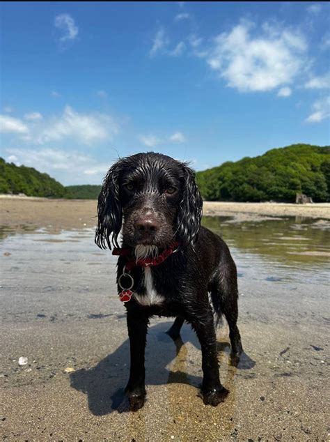 Mark Pulman On Linkedin Beach Day