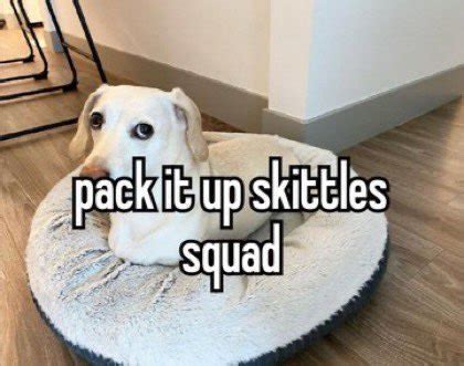 Homophobic Dog Blank Template Imgflip
