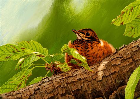 Dads Robin Stephen Koury Fine Art