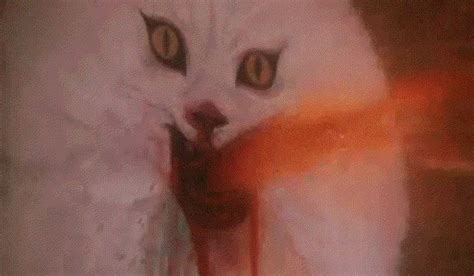 When Imgur Goes Nuts  On Imgur