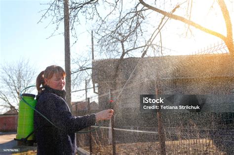 훈증 페스티 해충 방제 봄 정원에서 곤충에 대한 수동 살충제 분무기로 나무를 뿌리는 농부 여자 농업과 원예 화학 스프레이 초점이