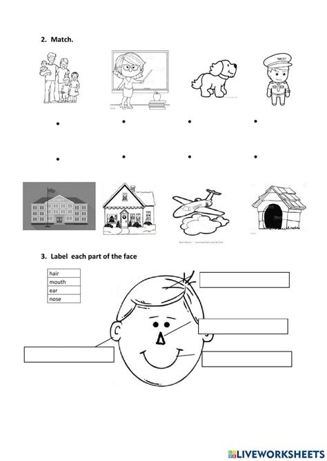 Test Second Grade Worksheet Live Worksheets