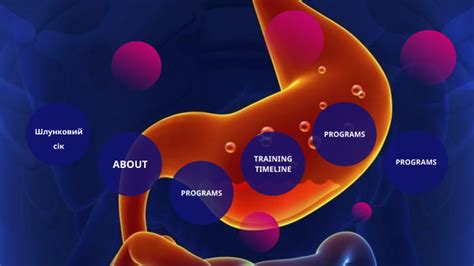 Шлунковий сік By Lana Trygub On Prezi