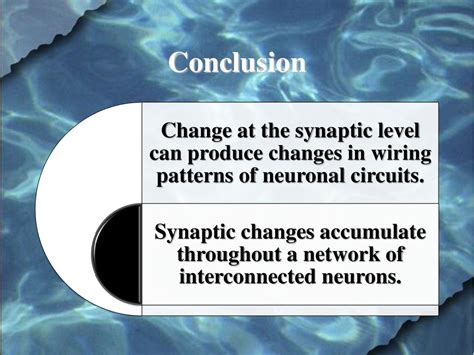 spike timing dependent plasticity ppt download