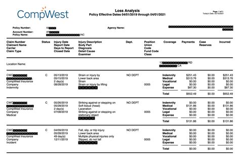Insurance Loss Run Report Example 2024 Best Reverence In 2024 Risk