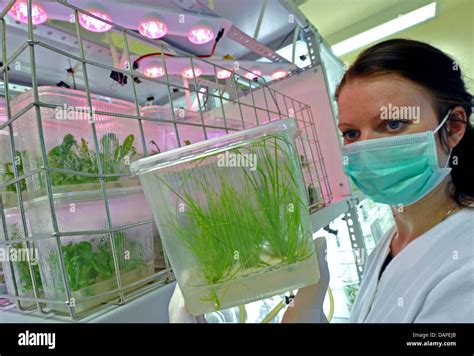 Medical Technical Laboratory Assistant Kathrin Schmidt Checks The