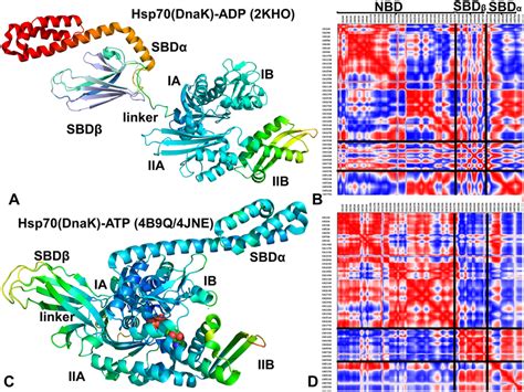 Analysis Of Essential Motions In The Closed And Open Dnak Download