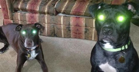 Advanced Laser Targeting Activated Imgur