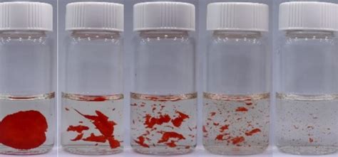 चीनी रिसर्चर्स का दावा बनाया 100 बायोडिग्रैडेबल प्लास्टिक 1 हफ़्ते