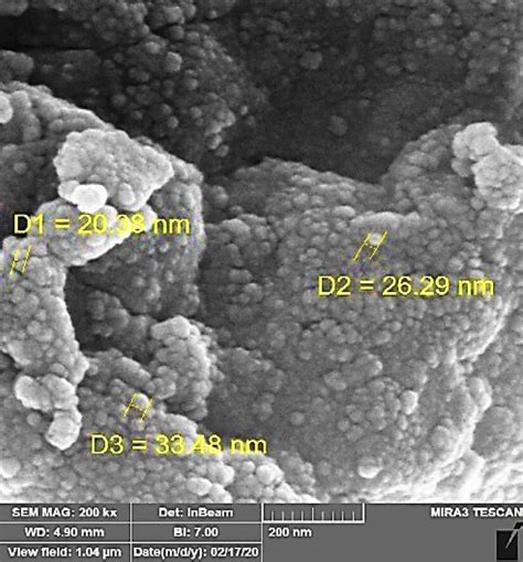 The Sem Contains The Size Of Fe3o4cptmo Phenylalanine Ni Download