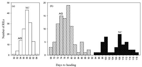 Frequency Distribution For Flowering Time Of 130 Recombinant Inbred