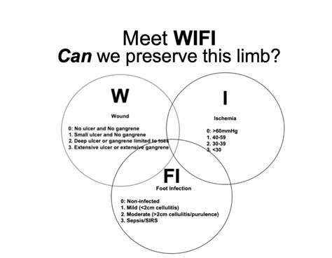 Wifi Functional Score Can We Preserve This Limb” Meets Should We