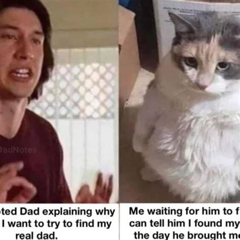 Zerty Lyrics Songs And Albums Genius