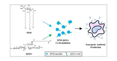 Francesco Peri On Linkedin Development Of A New Vaccine Adjuvant System Based On The