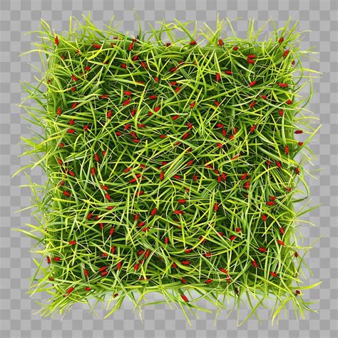 Page 9 Paper Grass Psd High Quality Free Psd Templates For Download