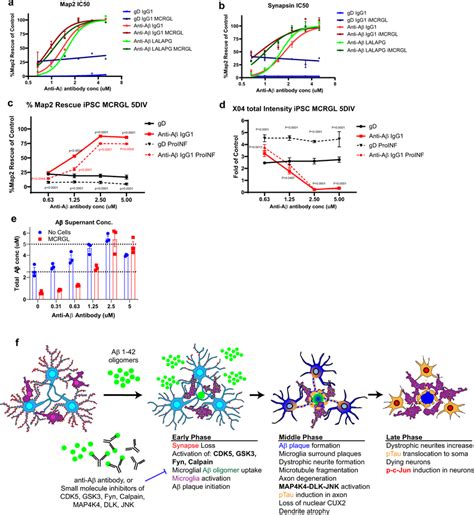 Anti Aβ Protects Neurons By Keeping Aβ Soluble In Supernatant And