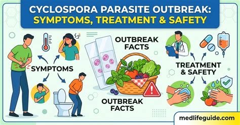 Cyclospora Parasite Outbreak Symptoms Treatment And Safety
