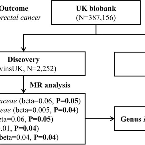 A Flowchart Of Mr Analysis In The Discovery And Replication The Mr