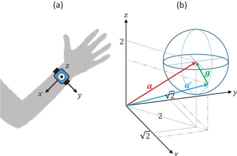Figure 1 From A Highly Reliable Wrist Worn Acceleration Based Fall Detector Semantic Scholar