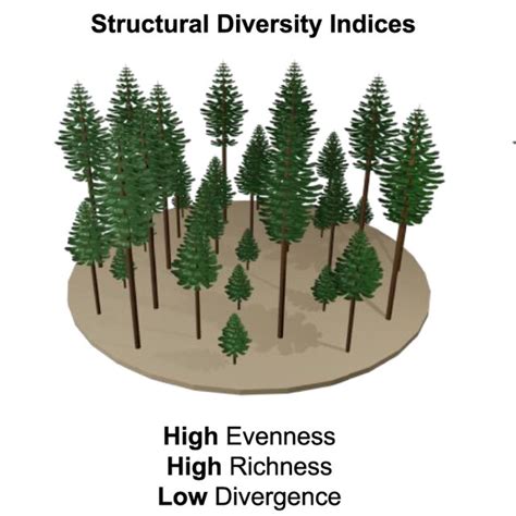 Examples Of Landscapes With Various Structural Diversity Index Values