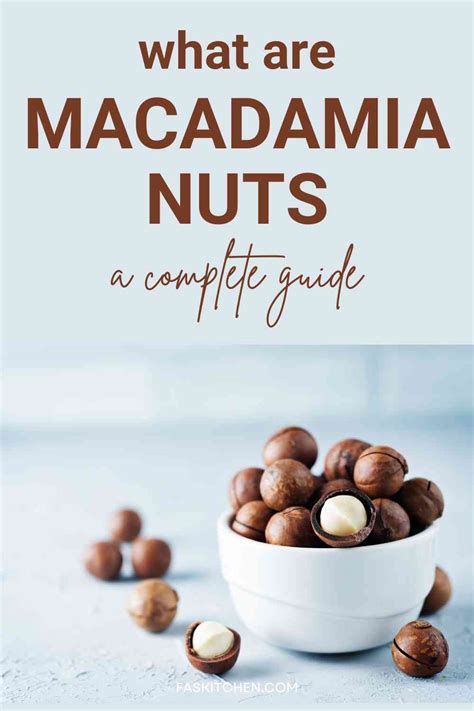 Macadamia Nuts 101 Nutrition Benefits How To Use Buy Store Macadamia Nuts A Complete